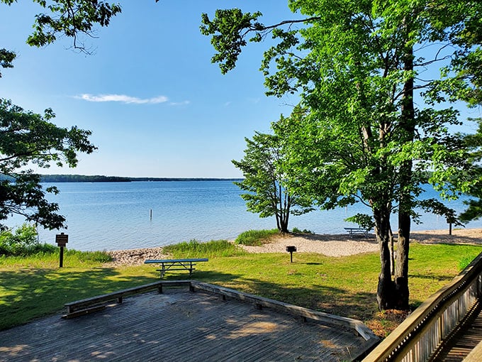 Lunch with a view that no five-star restaurant could match. Nature's dining room serves peace alongside your picnic.