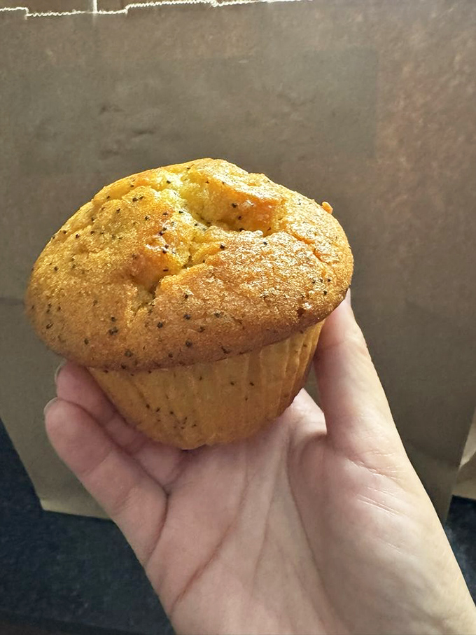 The humble lemon poppy seed muffin&mdash;proof that sometimes the simplest pleasures deliver the most satisfaction in one golden, tender package.