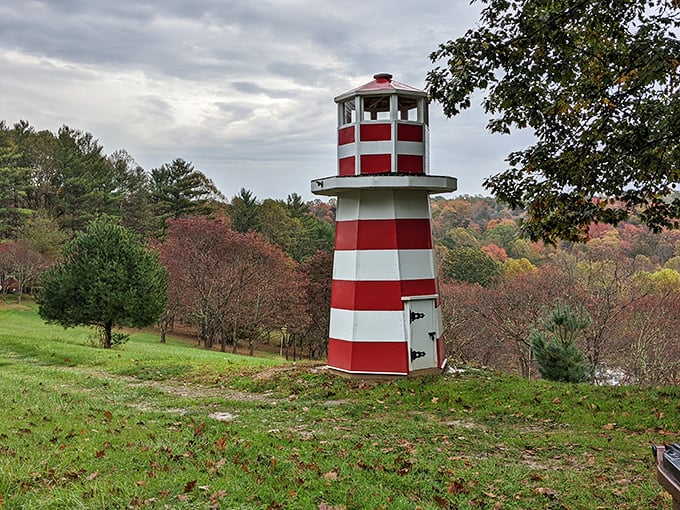 A lighthouse in the forest? This charming red-and-white beacon seems delightfully confused about its geography, but adds whimsical charm to the landscape.