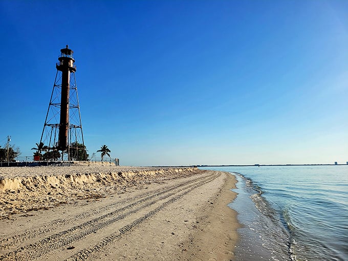 Lighthouse Beach Park at golden hour&mdash;where time slows down and even smartphone addicts forget to check their screens.