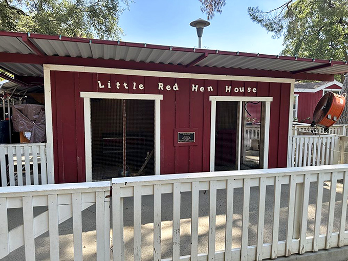 The Little Red Hen's House proves that classic stories never go out of style. Wonder if she still needs help baking that famous bread?