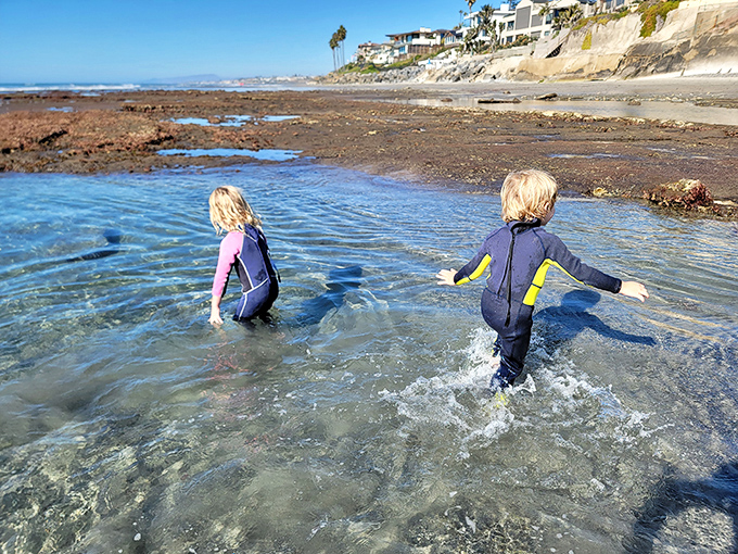Tide pools become magical playgrounds for pint-sized explorers. Terramar's natural wonders create childhood memories that outlast any theme park visit.