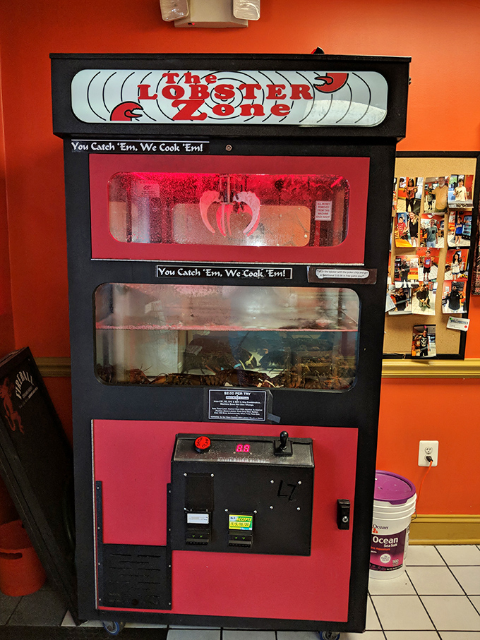 "You Catch 'Em, We Cook 'Em"—the Lobster Zone machine adds a touch of arcade fun. Like a claw game, but with dinner as the prize.