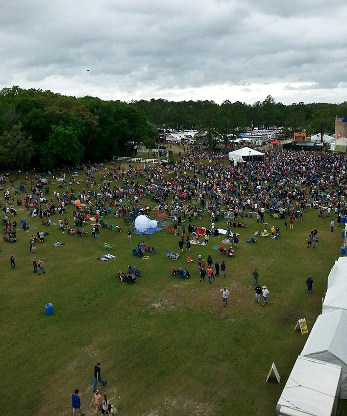Community comes alive at Live Oak's festivals, where strangers become neighbors over shared blankets and live music. This isn't just an event&mdash;it's small-town America's beating heart.