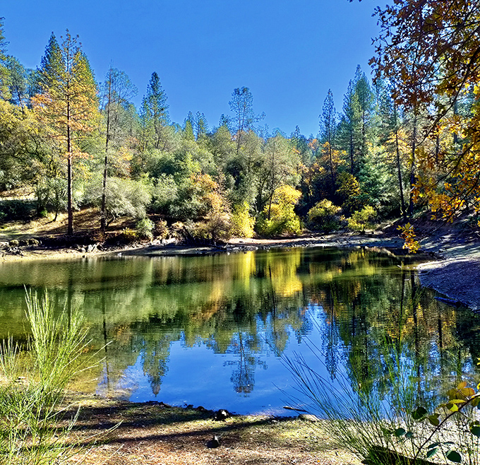 The American River's golden reflections show why prospectors fell in love with this region. Nature creates a mirror for autumn's spectacular color show.