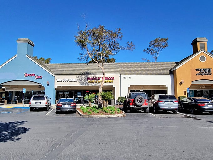 Local shopping that hasn't been chain-stored into submission, where parking is still free and plentiful.