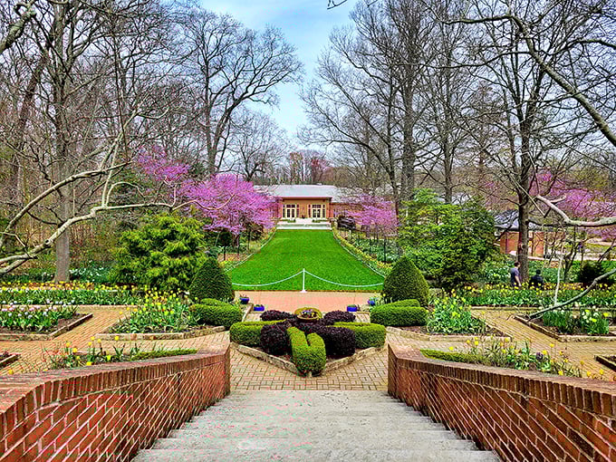 Spring explodes in technicolor glory as redbud trees frame the view of Kingwood's outbuildings&mdash;proof that sometimes nature's best accessory is simply perfect timing.