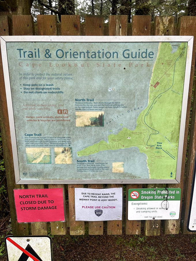 Choose your own adventure. This trail map doesn't just show paths—it reveals possibilities for discovery around every bend.
