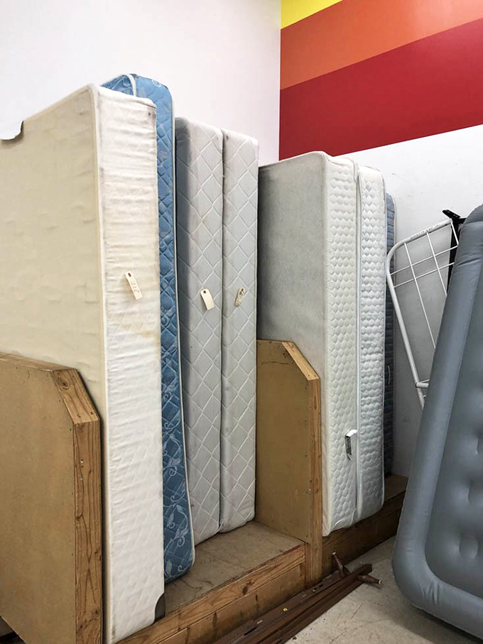 Mattress lineup: the unsung heroes of thrift stores. Someone's rejected comfort zone could become your perfect night's sleep.