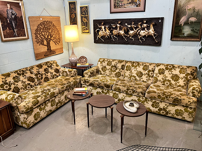 That floral couch has hosted countless family gatherings, TV dinners, and heated discussions about whether The Beatles were better than Elvis.