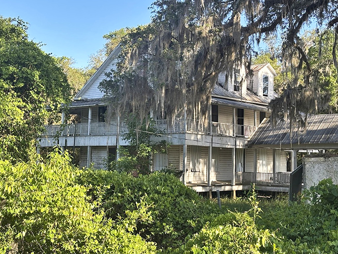 This historic structure has witnessed generations of visitors discovering the springs. If walls could talk, they'd tell tales of Florida's past.