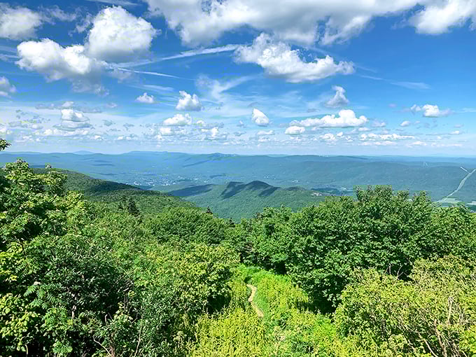 From Greylock's summit, the world spreads out like a buffet of possibilities &ndash; all within reach of your Social Security budget.