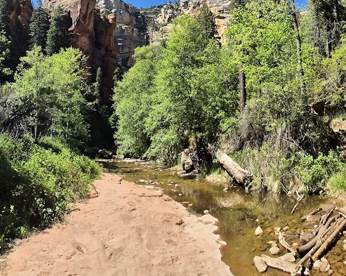 Oak Creek itself, the artist responsible for this masterpiece, continues its patient work of sculpting the canyon one water molecule at a time.
