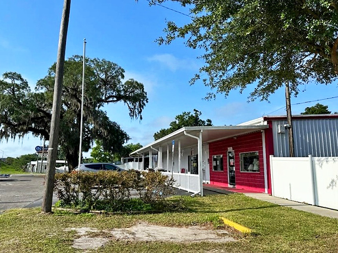 Florida sunshine illuminates this modest building housing extraordinary finds &ndash; proving paradise isn't always about palm trees and beaches.