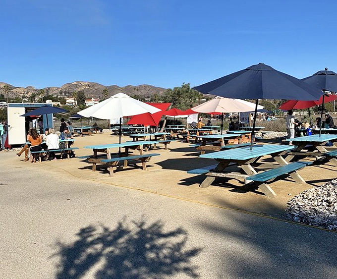 The perfect California scene: mountain backdrop, palm trees, colorful umbrellas, and picnic tables where strangers become friends over trays of oysters.