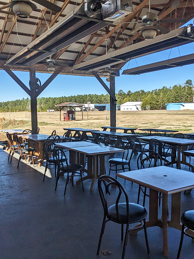 Outdoor seating with a view of nothing but North Carolina sky and trees. Sometimes the best dining backdrop is simply nowhere else to be.