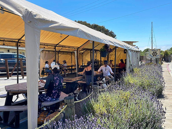 Outdoor dining with a side of coastal breeze. Those lavender plants aren't just pretty&mdash;they're providing aromatherapy with your appetizers.