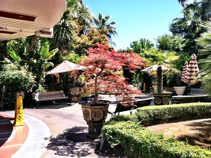 The outdoor garden patio feels like you've stumbled into a secret botanical paradise&mdash;a tropical oasis where breakfast dreams come true.