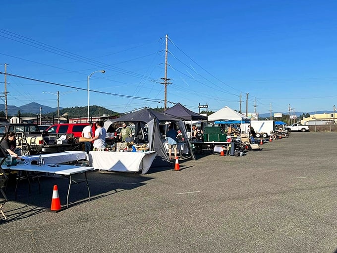 The outdoor extension of treasure hunting paradise. Where the serious dealers set up shop under the big blue Oregon sky.