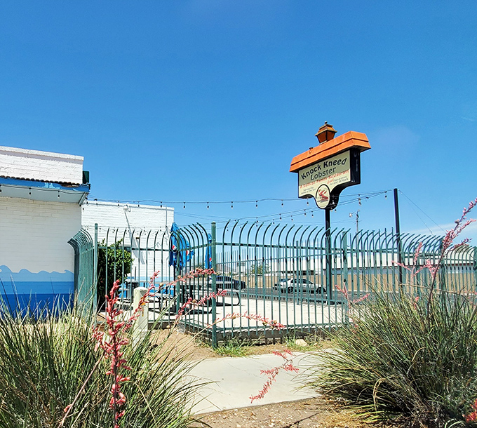 Yes, they have outdoor seating. Because sometimes you want to enjoy your ocean harvest while gazing at... well, not the ocean, but still nice