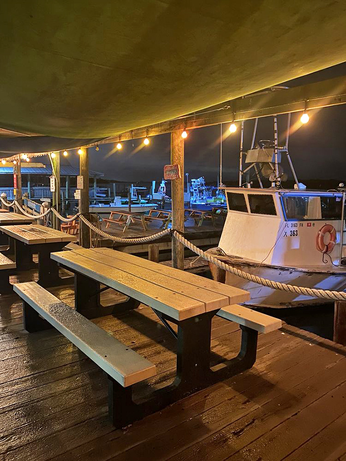 Evening at the docks, where string lights and fishing boats create Florida's most authentic dining room.