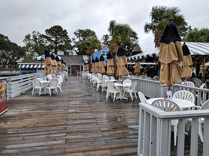 The sprawling deck awaits the day's diners like a wooden runway for seafood fashion shows &ndash; where the models are your plates.