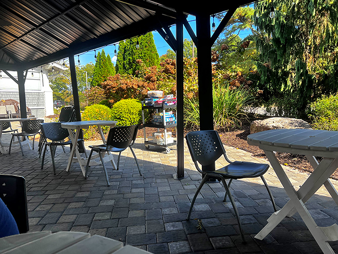 Morning sunshine filters through the pavilion, creating the perfect lighting for both your breakfast and the inevitable food photos you'll be taking.