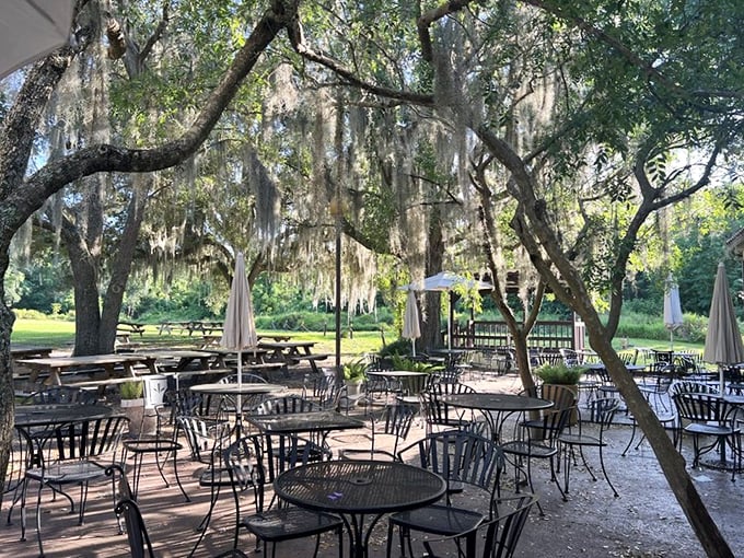 This outdoor seating is too good to be true under cozy weather and green trees offering wide slots for every diner.