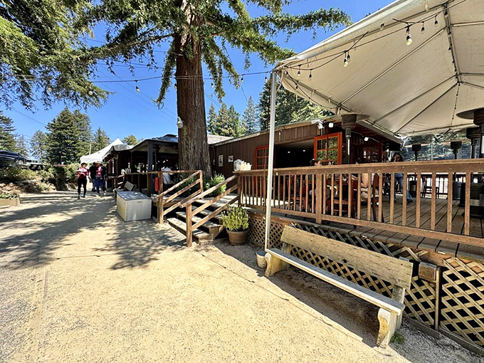 The wooden deck and gravel courtyard feel like the front porch of the mountains&mdash;casual, welcoming, and impossible to leave.