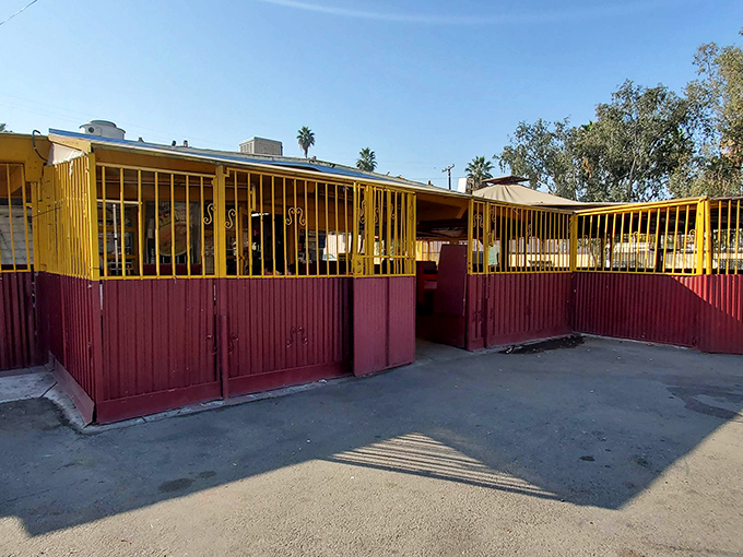 Outdoor seating where every bite tastes better with fresh air and the promise of adventure.