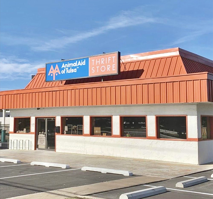 Morning light catches the iconic blue and orange signage, promising a day of discovery. This building houses more than bargains&mdash;it houses hope.
