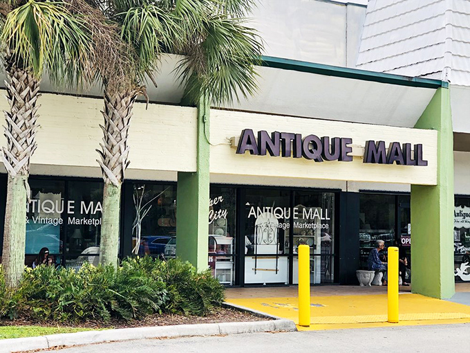Palm trees frame the entrance like sentinels guarding a portal to the past &ndash; a distinctly Florida gateway to treasures from everywhere else.