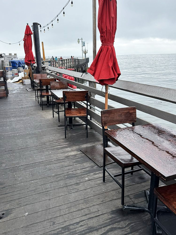 Waterfront dining at its finest - where Pacific breezes and harbor views make every meal taste better.