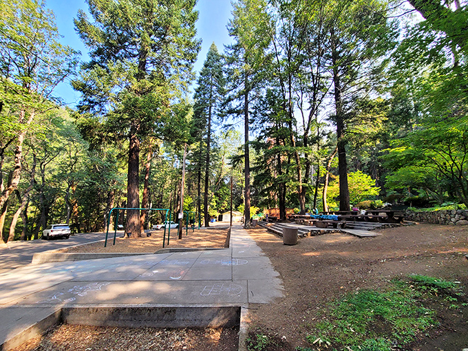 Dunsmuir's city park offers simple pleasures among the pines. No complicated reservation systems here&mdash;just sunshine filtering through ancient trees.