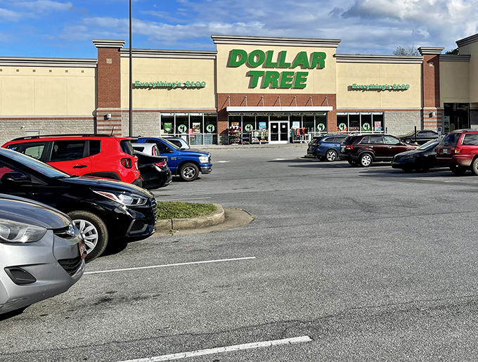 Parking lot of possibilities! Each car represents another Tennessean about to experience the unique joy of filling a shopping cart without emptying a wallet.