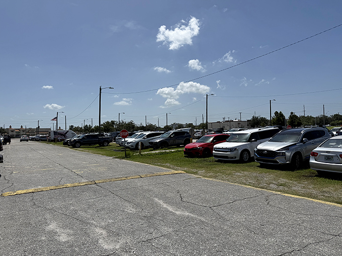A packed parking lot tells the true story of Oldsmar Flea Market's popularity. The weekend pilgrimage of bargain hunters is a Florida tradition.