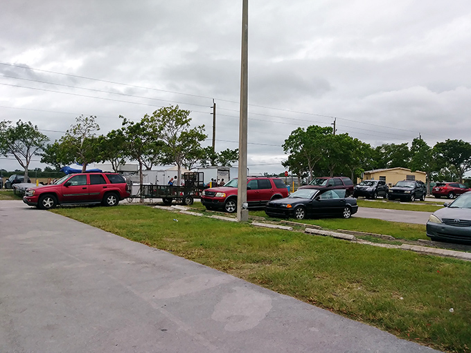 The parking lot &ndash; final resting place of good intentions to "just browse" and birthplace of the phrase "we're going to need a bigger car."