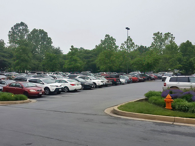 The parking lot &ndash; final resting place for shopping carts and first glimpse of what awaits inside. Those cars hold empty trunks... for now.