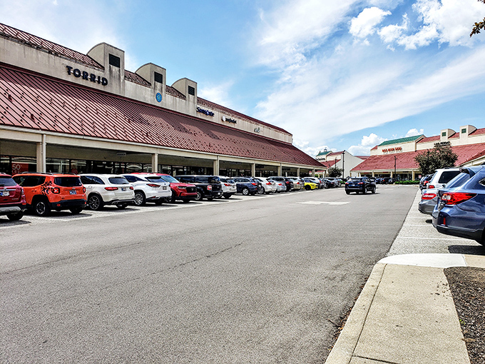 The parking lot &ndash; final battlefield of the shopping expedition where victorious bargain-hunters return, arms laden with the spoils of retail warfare.