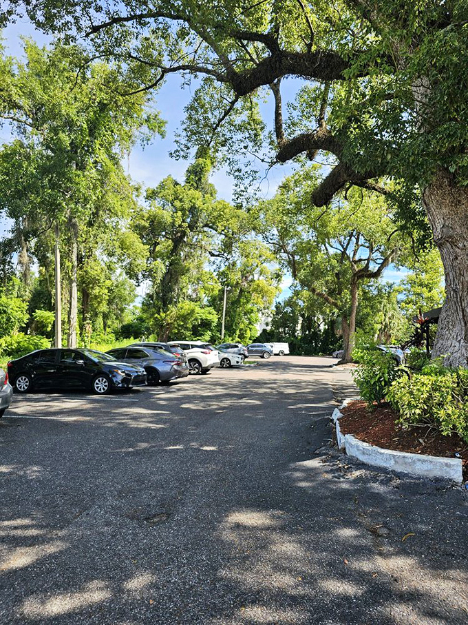 Even the parking area has Florida charm with those gorgeous shade trees. Your car stays cool while you warm up to breakfast possibilities.