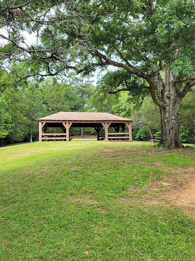 This rustic pavilion, shaded by ancient oaks, has hosted countless family reunions, picnics, and the kind of conversations that don't happen over text messages.