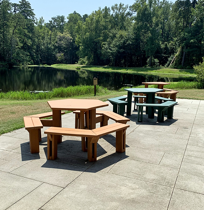 Lakeside picnic tables arranged with mathematical precision. Because sandwiches always taste 73% better when eaten with a water view. 