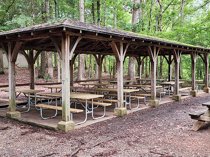 This rustic picnic shelter practically begs for family gatherings where potato salad and stories flow freely under a canopy of Carolina pine.