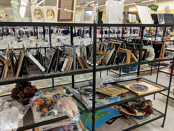 The art section &ndash; where forgotten family portraits and mass-produced prints find themselves in an unexpected gallery show, waiting for new walls.