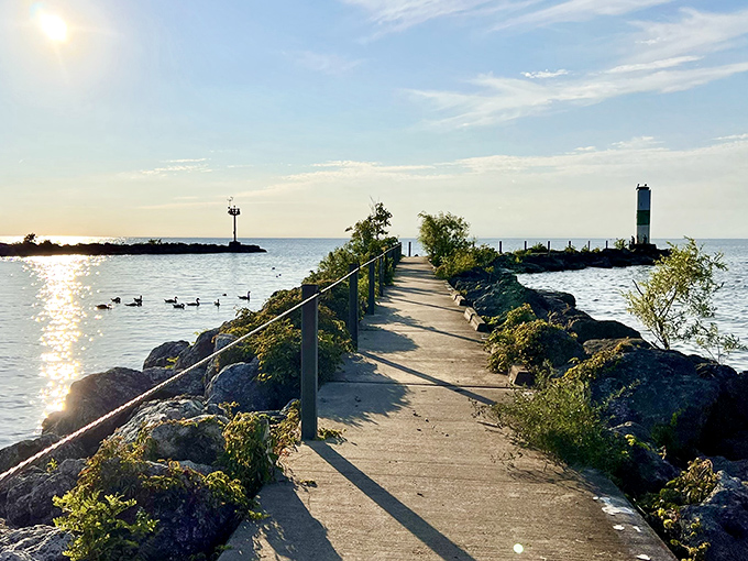 Dawn patrol along Geneva's breakwall—where early risers are rewarded with golden light, the gentle parade of waterfowl, and blessed morning quiet.