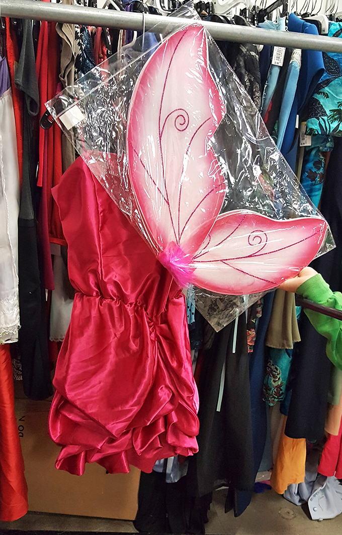 Halloween costume? Festival outfit? Fairy-themed wedding attire? This pink ensemble with wings proves that at Goodwill, imagination is the only limit.