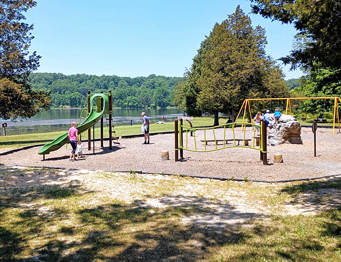 Lakeside playgrounds prove that even in our digital age, slides and swings still generate more genuine childhood joy than any tablet ever could.