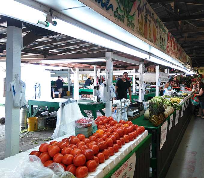 Farm-fresh Florida bounty that makes supermarket produce look like it's been through a time machine. Those tomatoes practically glow!