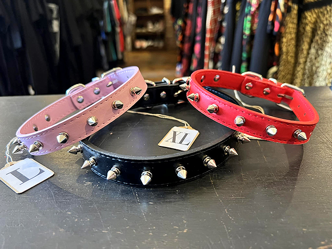 Dog collars that make a statement or fashion accessories for humans? In the world of Thrift Witch, the answer is confidently "why not both?"