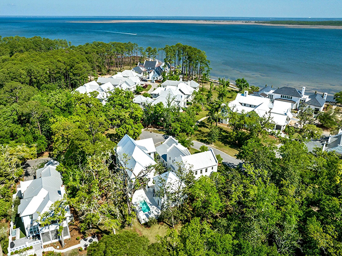 White-roofed elegance nestled among the pines&mdash;coastal living that respects and embraces its natural surroundings.
